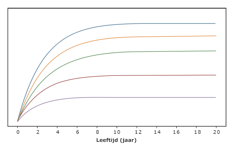 Motoriek – CP & Ontwikkeling